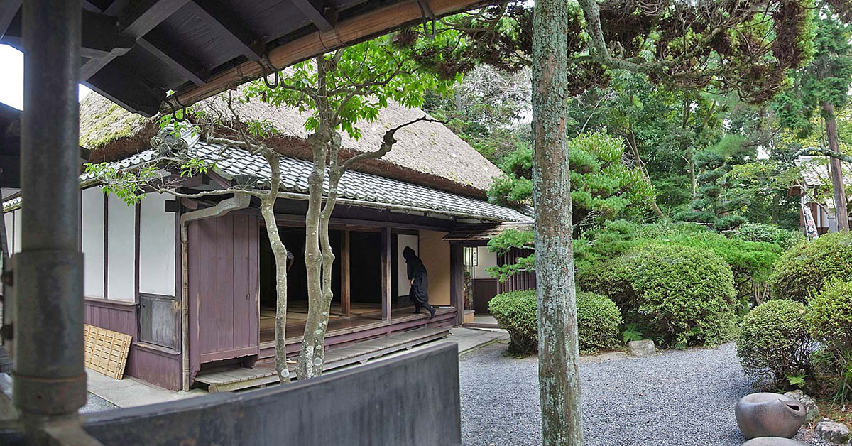 Articles | DOJO Press